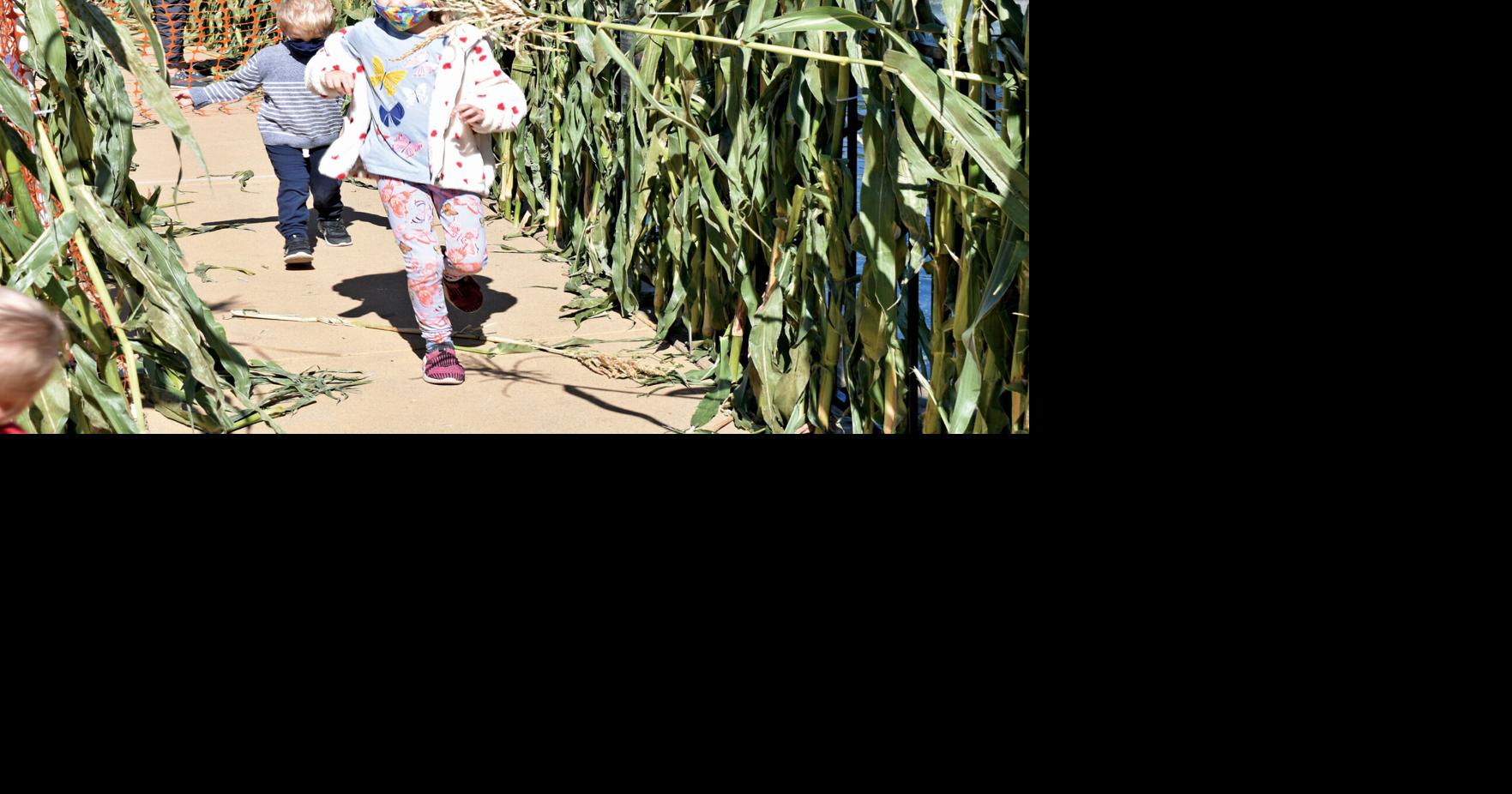 A-mazing fun | News | mtdemocrat.com