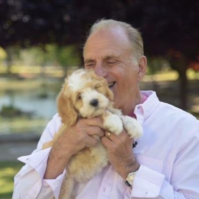 bad things about dogs