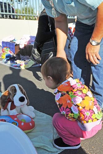 Cameron Park swap meet | Photo Galleries | mtdemocrat.com