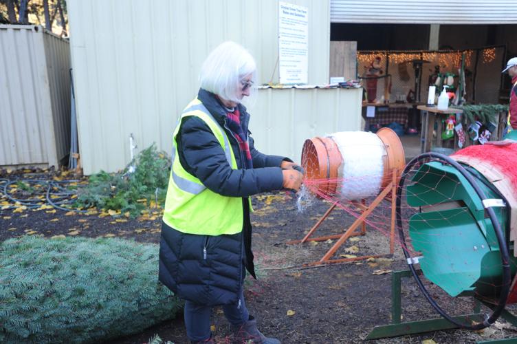 Christmas tree cutting tradition a memory maker | El Dorado County ...