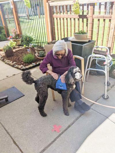 The healing power of dogs | Prospecting | mtdemocrat.com