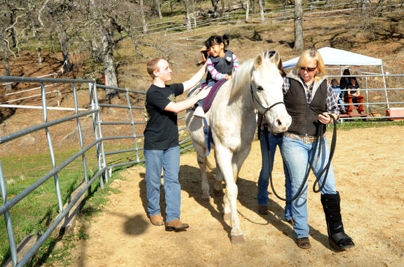 Aimee Palmer — a ministry with horses | News | mtdemocrat.com
