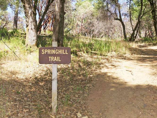 New trails add more recreation space at Gold Bug Park | News ...