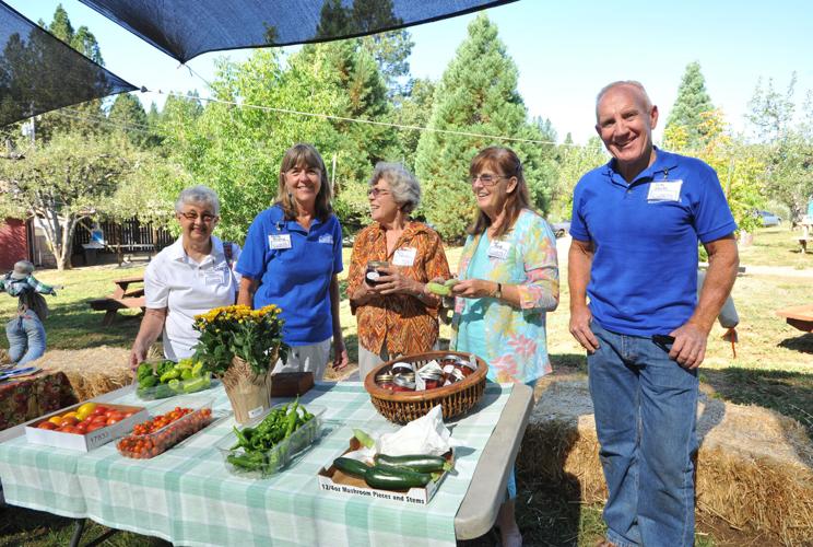 CalRTA | Photo Galleries | mtdemocrat.com