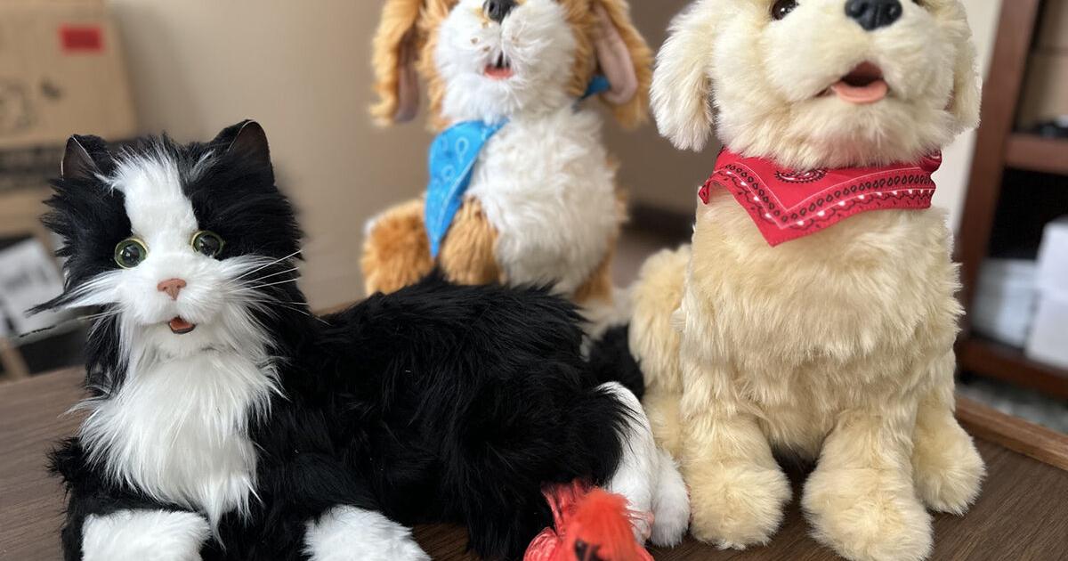 CompanionPets bring joy to Alzheimer's, dementia patients | Prospecting ...