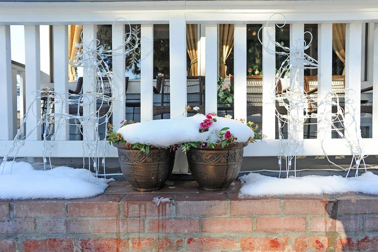 Snow in Camino and Pollock Pines | Photo Galleries | mtdemocrat.com