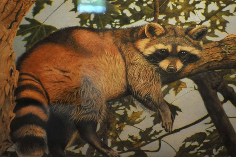 National Mother Lode Art Exhibition | Photo Galleries | mtdemocrat.com
