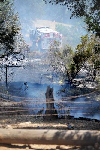 Grass fire in Placerville sparked by bird | News | mtdemocrat.com