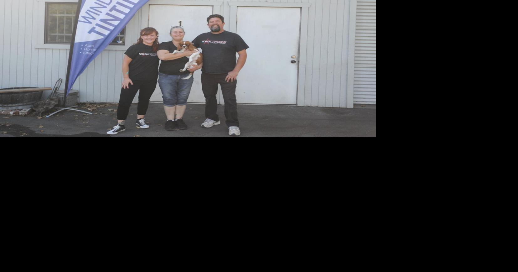 Best Window Tint: The Tint Zone | Readers Choice | mtdemocrat.com