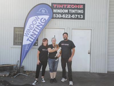 Best Window Tint: The Tint Zone | Readers Choice | mtdemocrat.com