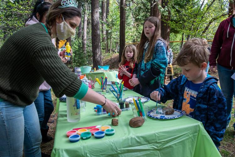 Down to Earth | News | mtdemocrat.com