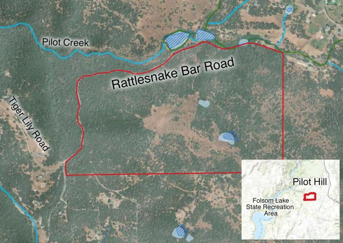 Cannabis cultivation pending in county | News | mtdemocrat.com