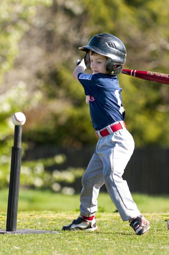 El Dorado Hills Little League parade | Photo Galleries | mtdemocrat.com