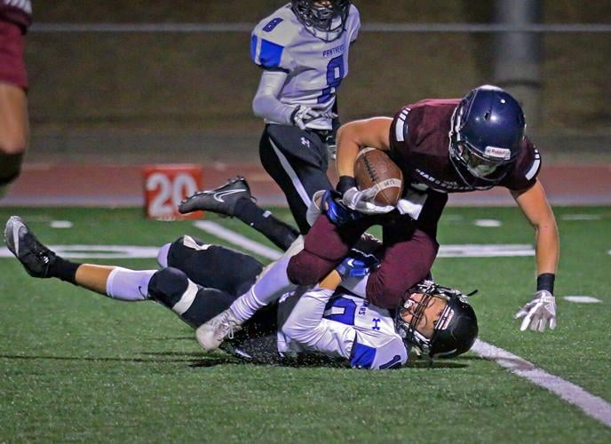 D’backs stomp Panthers in homecoming victory | Sports | mtdemocrat.com