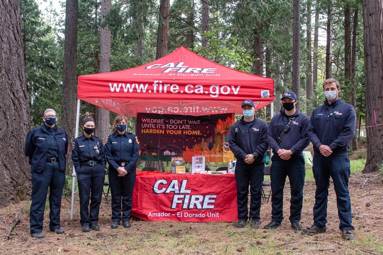 Down to Earth | News | mtdemocrat.com