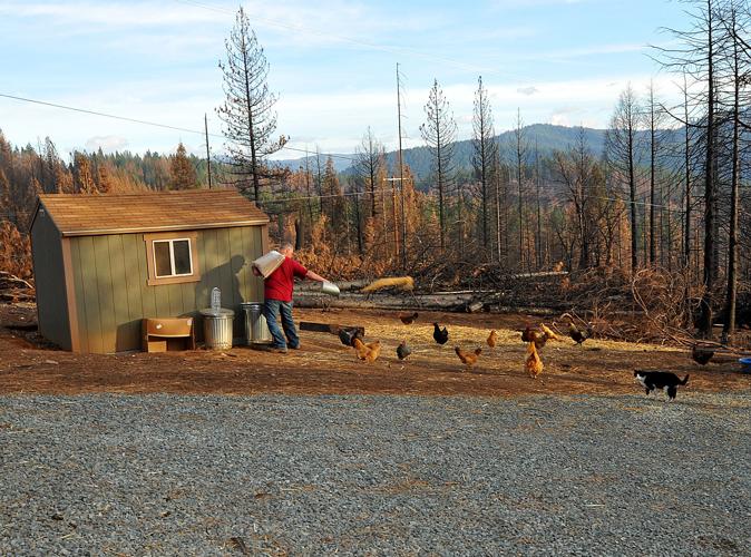 White Meadows continues recovery | Photo Galleries | mtdemocrat.com