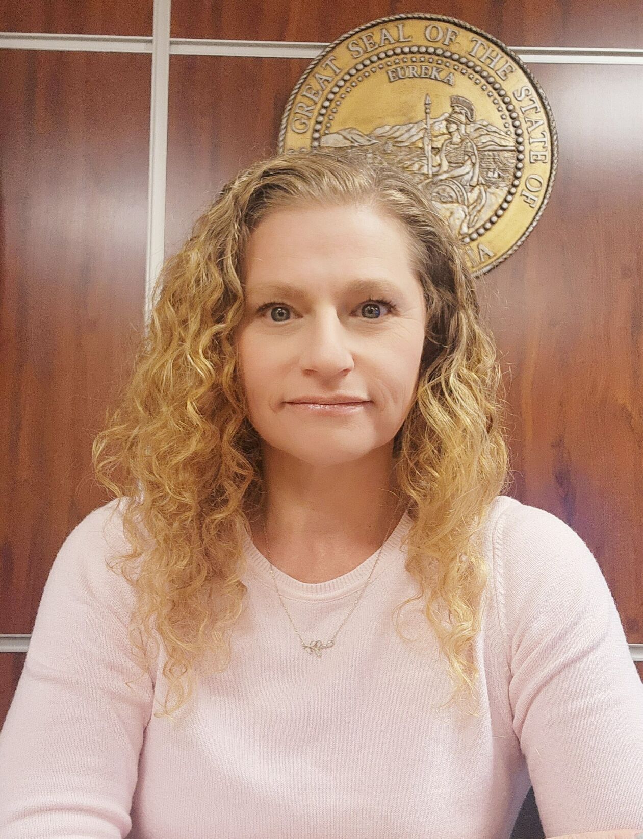 Newsom appoints new El Dorado County judge | News | mtdemocrat.com