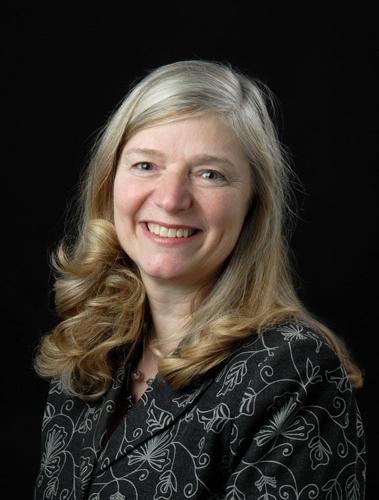 Engineer seeks Assembly seat | News | mtdemocrat.com