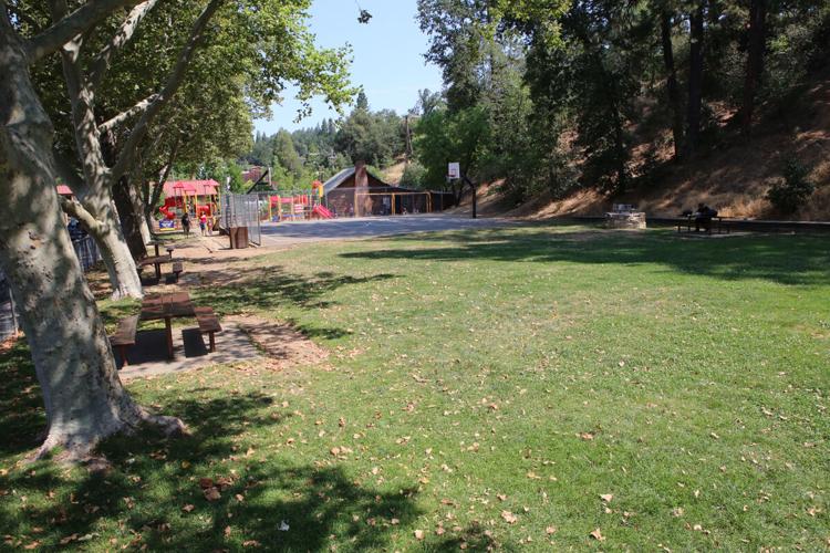 Is the grass really greener on the other side? | Photo Galleries ...