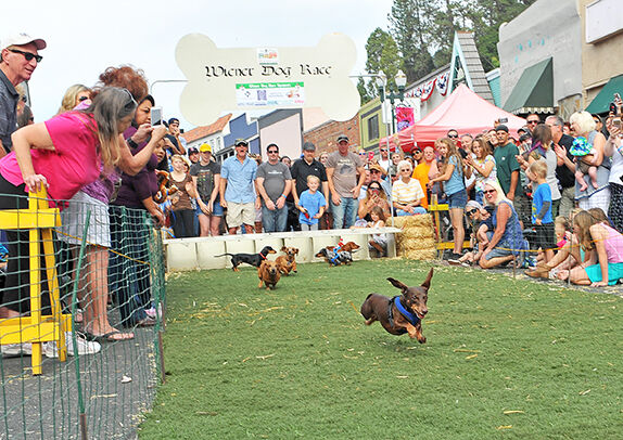 Photo gallery: Oktoberfest 2017 | News | mtdemocrat.com