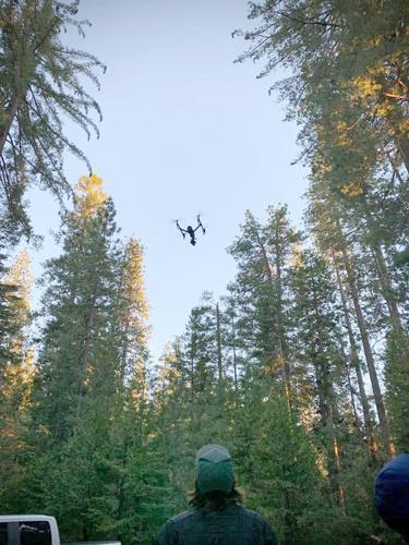 U.S. Forest Service scientists’ work featured in Netflix documentary ...