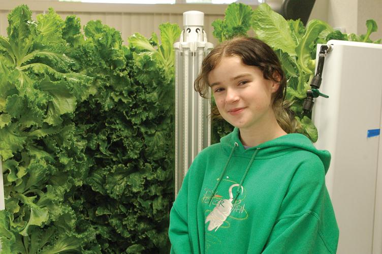 Putting the green in Herbert Green | Prospecting | mtdemocrat.com