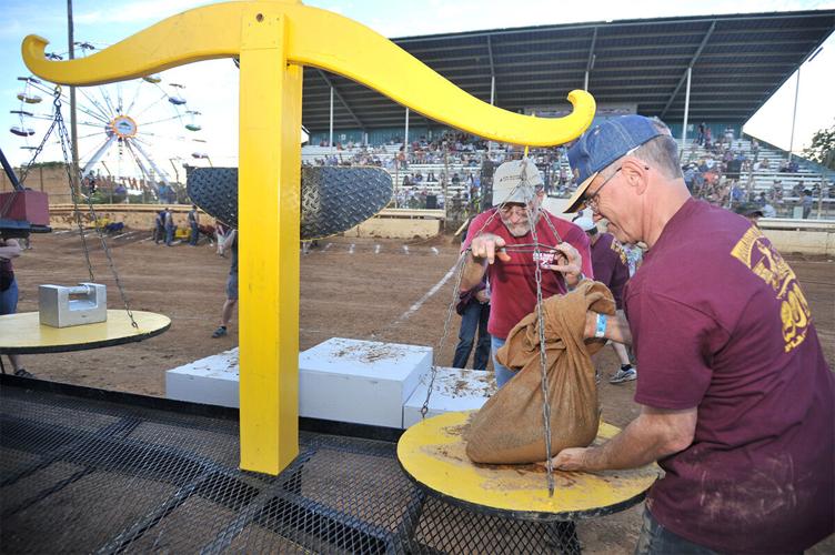 72nd annual John M. Studebaker Wheelbarrow Races | Photo Galleries ...