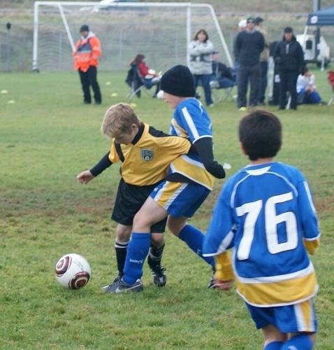Gold Nugget Soccer Club shines bright | Sports | mtdemocrat.com