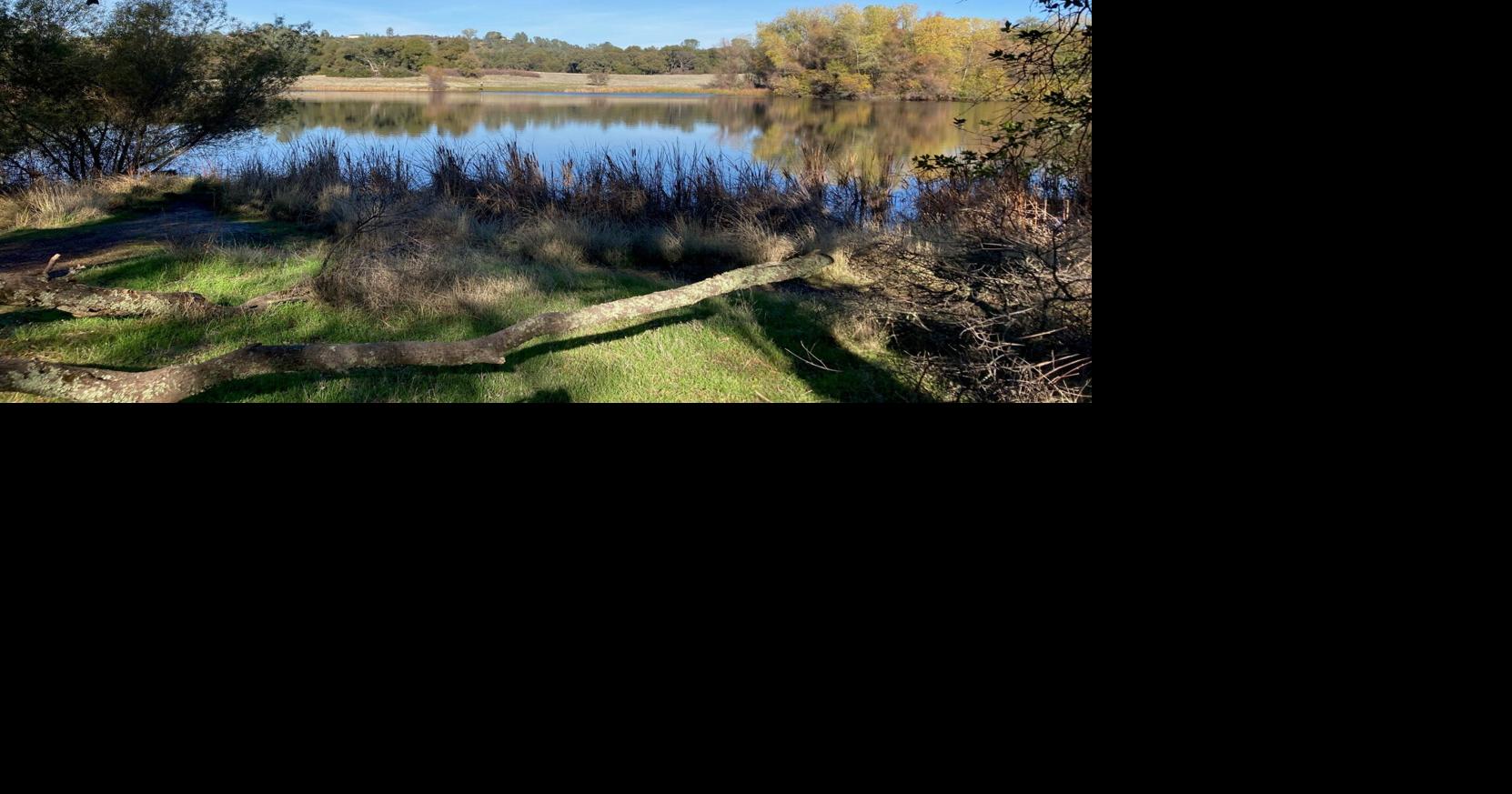 Battle over Rassmussen Pond development begins | News | mtdemocrat.com