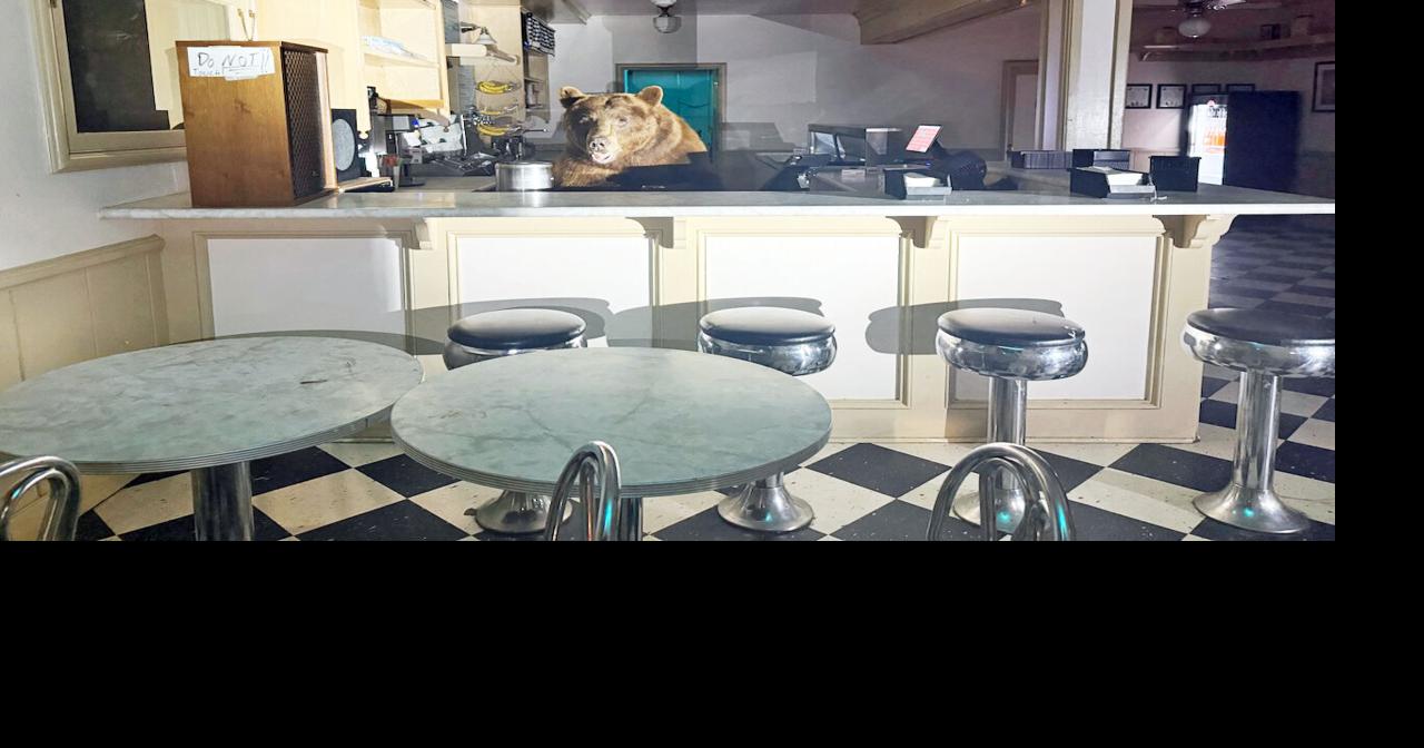 Bear breaks into Camp Richardson ice cream shop | News | mtdemocrat.com