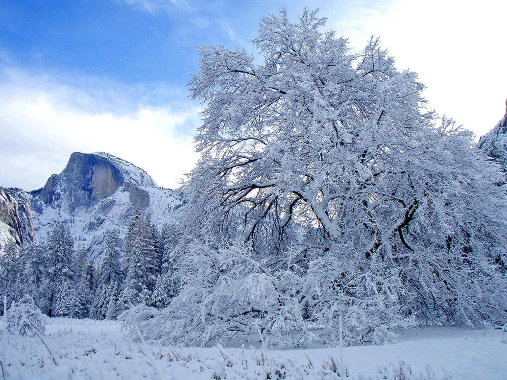 California Rambling: Yosemite’s winter hush | Prospecting | mtdemocrat.com