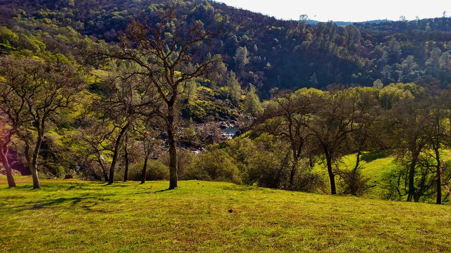Day Hiker: Beale Falls Trail | Prospecting | mtdemocrat.com