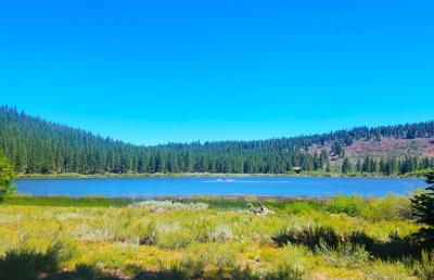 Day Hiker: Waddle Ranch Preserve | Prospecting | mtdemocrat.com