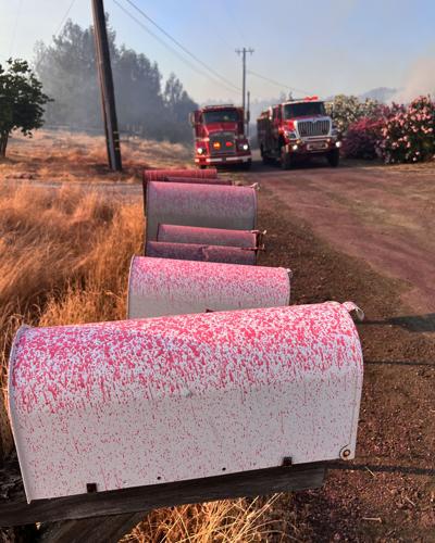 Bonanza Fire scorches 181 acres | News | mtdemocrat.com