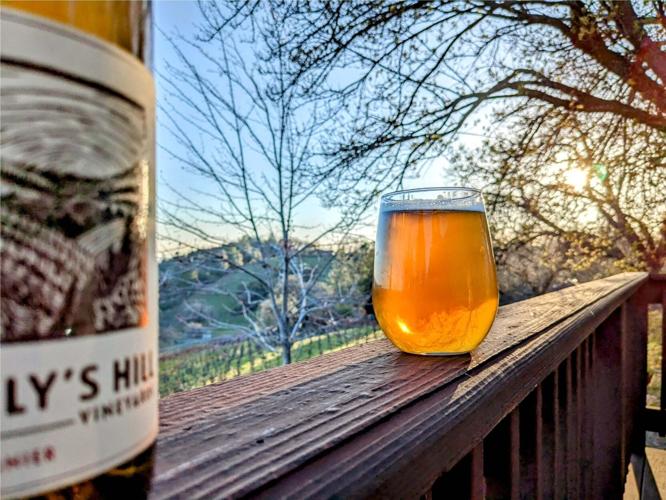 Holly’s Hill Vineyards expands with new brewery | Prospecting ...