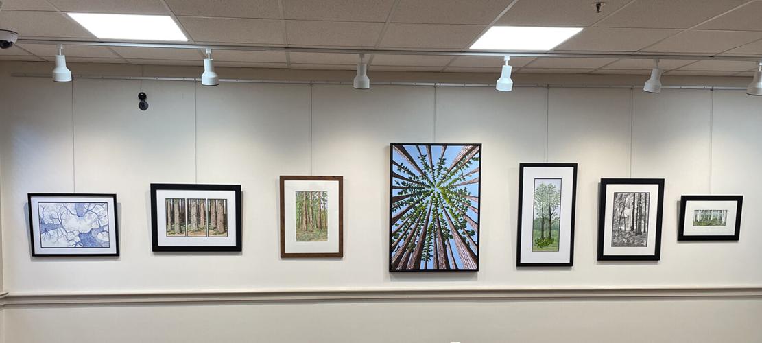 Artist shares what he's learned | Prospecting | mtdemocrat.com
