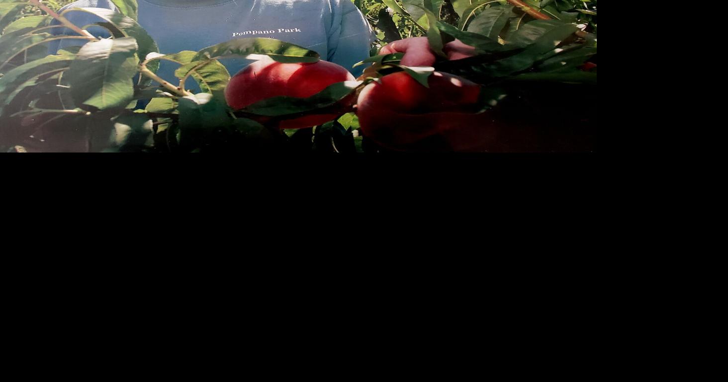 Ron Mansfield | Obituaries | mtdemocrat.com