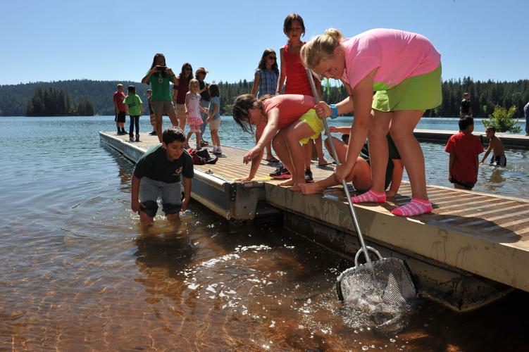 Stocking Trout at Jenkinson Lake | Photo Galleries | mtdemocrat.com