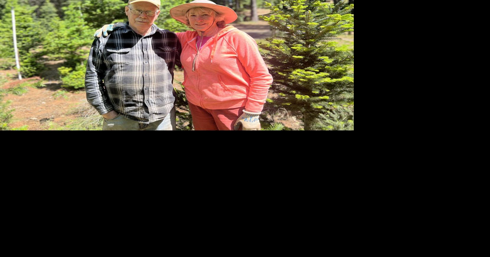 Crystal Creek Tree Farm recognized for excellence in ag | News ...