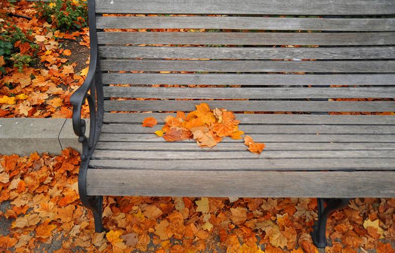 Fall color in Placerville | Photo Galleries | mtdemocrat.com