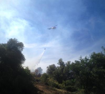 Aukum Fire chars 25 acres | News | mtdemocrat.com