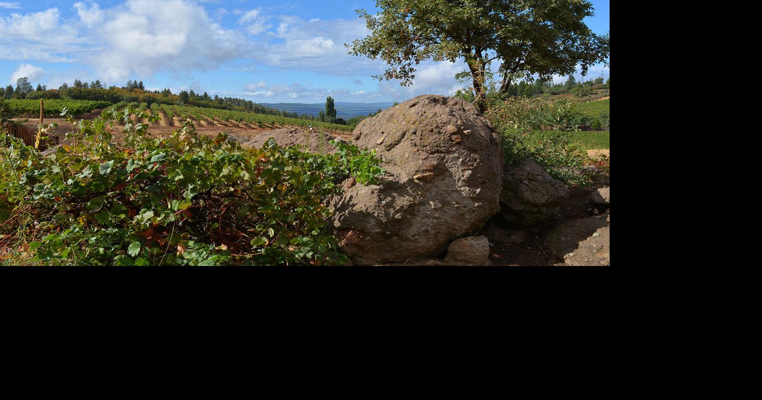 Lava Cap Winery releases Tectonic series | Prospecting | mtdemocrat.com
