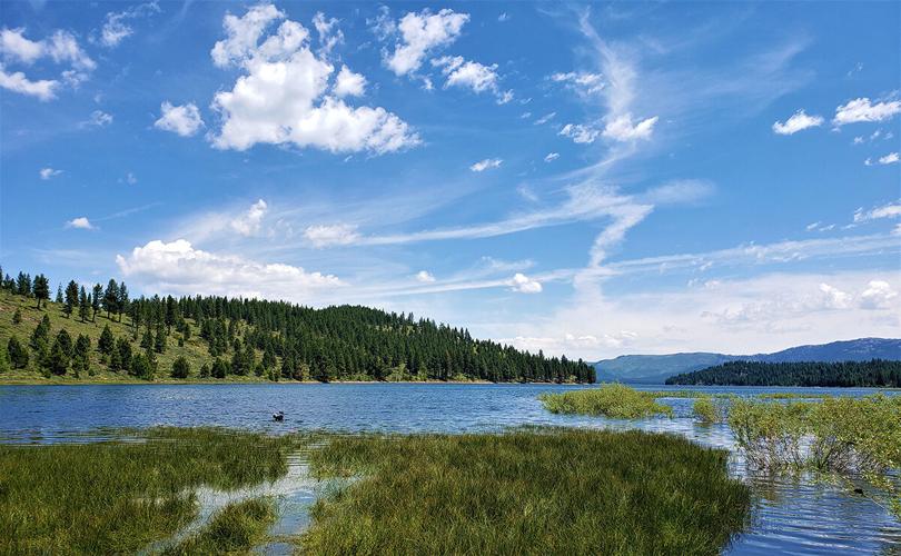 Day Hiker: Sagehen Trail | Prospecting | mtdemocrat.com