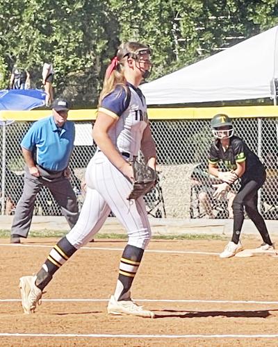 Oak Ridge softball back to the section title game after walk-off ...