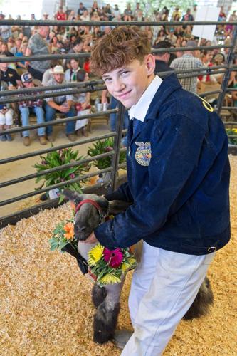 Lively livestock auction | News | mtdemocrat.com