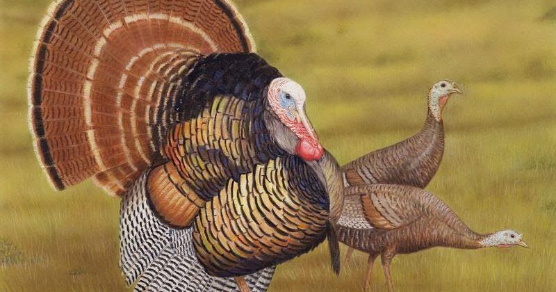 Indiana artist wins stamp art contest | Prospecting | mtdemocrat.com