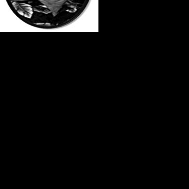 Ronald D. Cook | Obituaries | mtdemocrat.com