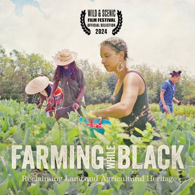 Film festival hands out top honors | Prospecting | mtdemocrat.com