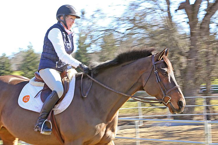 Judy Tapson | Photo Galleries | mtdemocrat.com