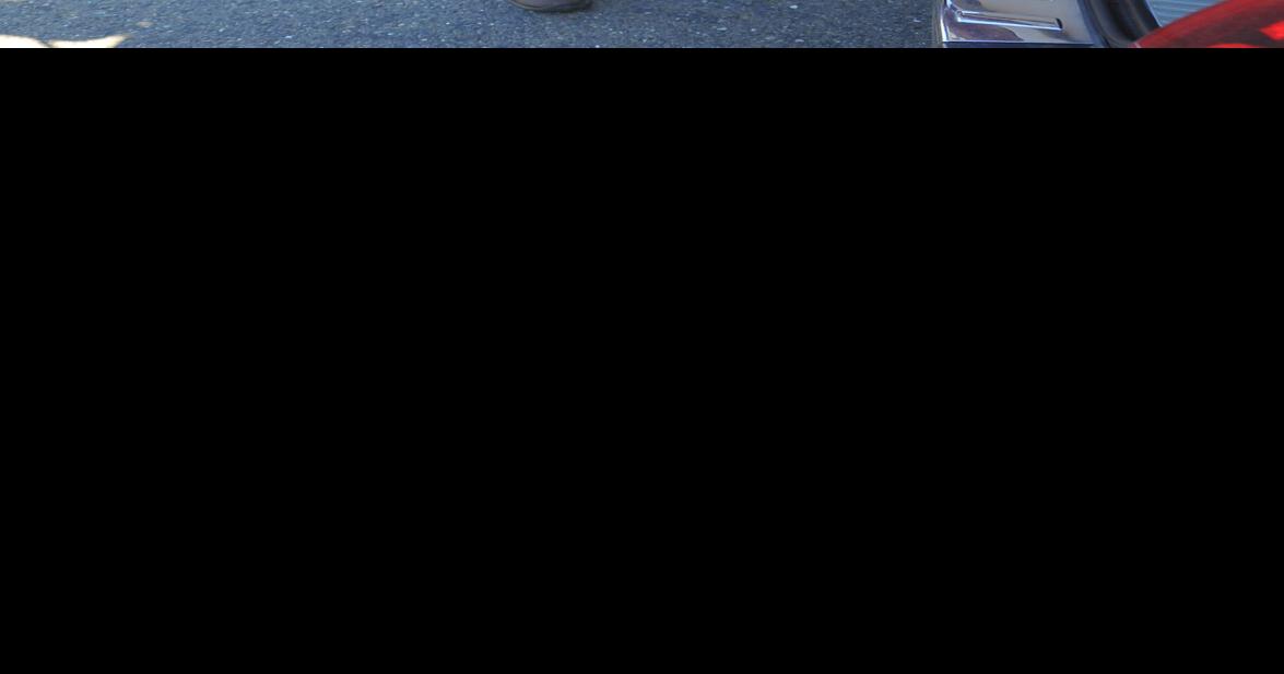 Fire fawn fine | Photo Galleries | mtdemocrat.com